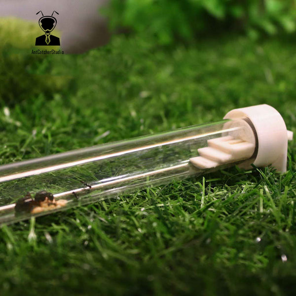Ant Catcher Studio Test Tube Feeder – Ant Keeping Depot
