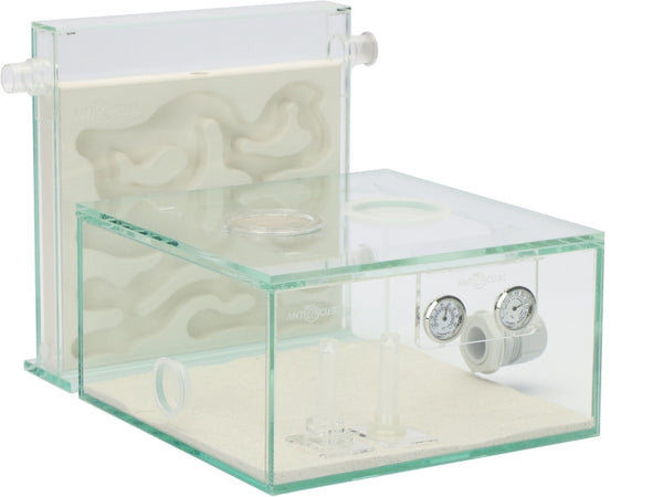 ANTCUBE Starter Set – 20×20 – Plaster – Ant Keeping Depot